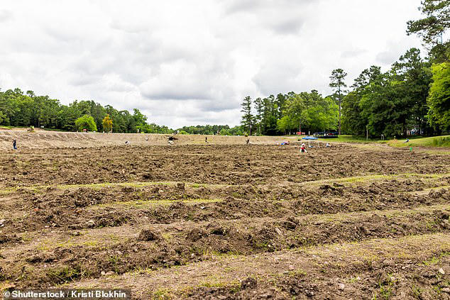 Inside world's only public park where visitors can mine and take home ...