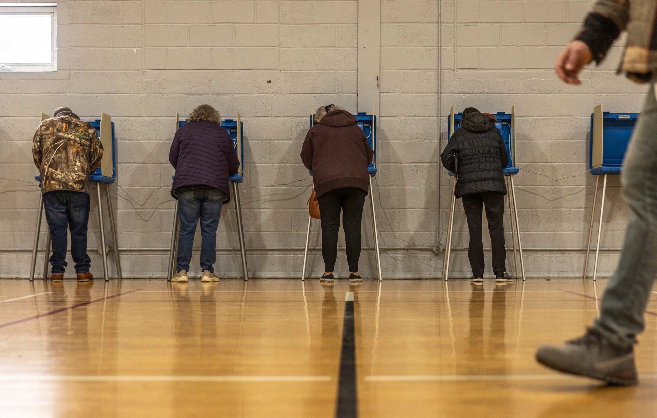 Study Finds Polling Overestimates Democratic Approval