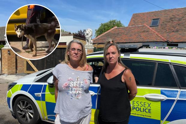 Raid on Billericay homes finds remains of 37 dogs - everything we know