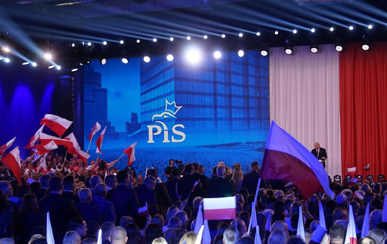 PiS i Konfederacja z większością. Nowy SONDAŻ