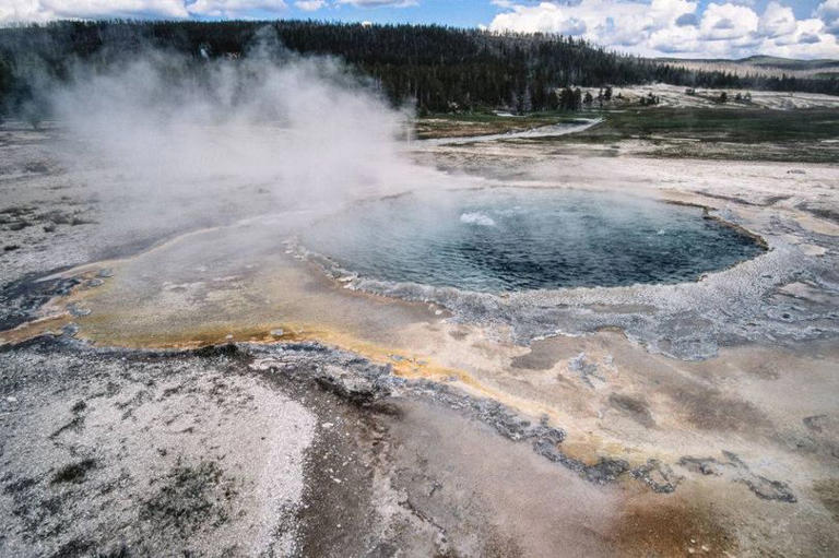 Man's horrifying death as he's boiled alive and then 'dissolved' in ...