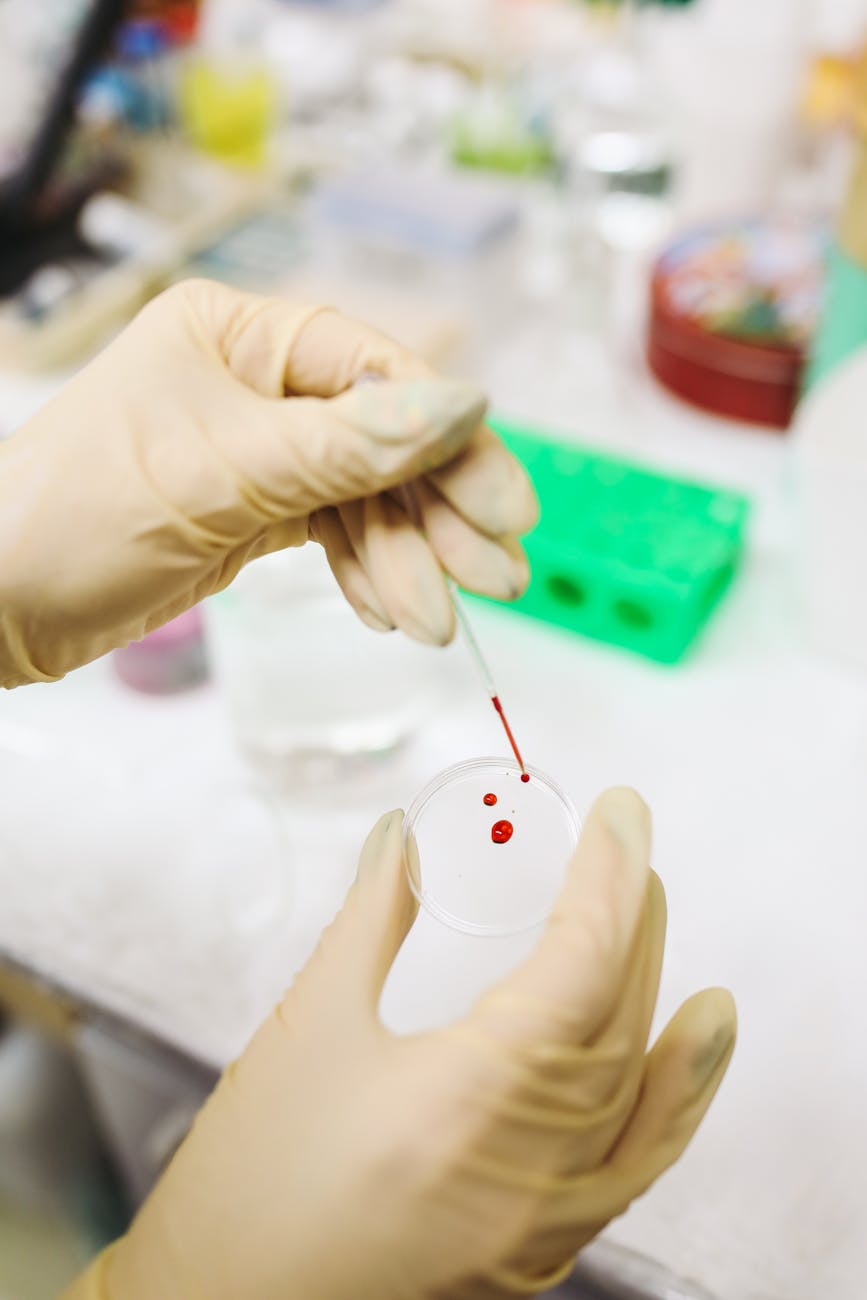 Understanding Your Blood Test Results: What They Mean for Your Health