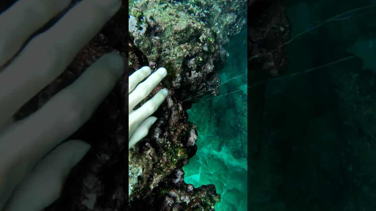 Britt’s fishing gone wrong – hook, line, and oops!