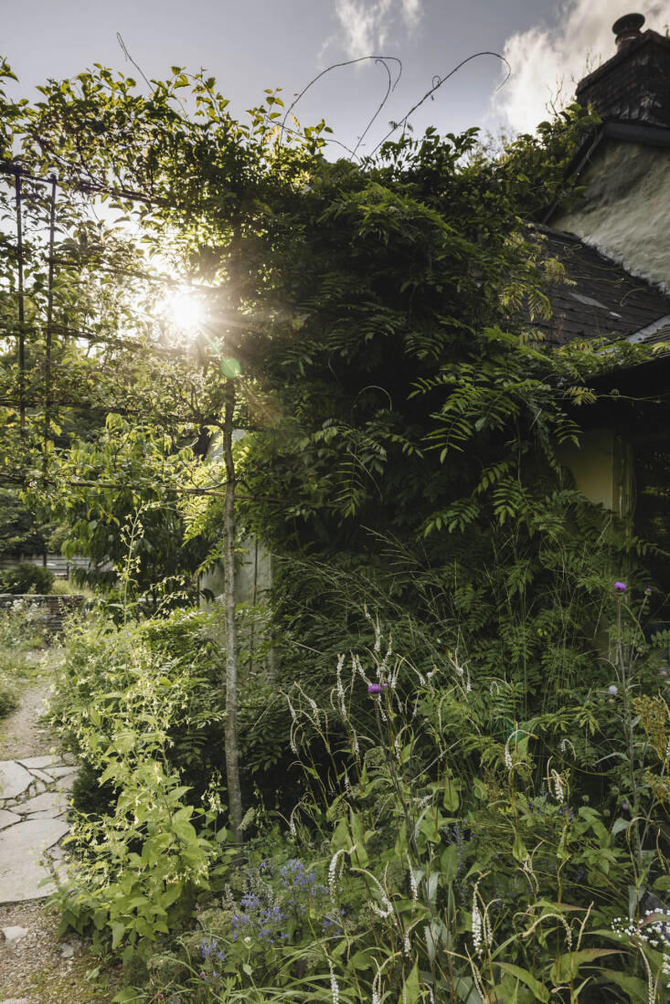 Greatest hits 2025: The fairytale cottage of brothers and garden ...
