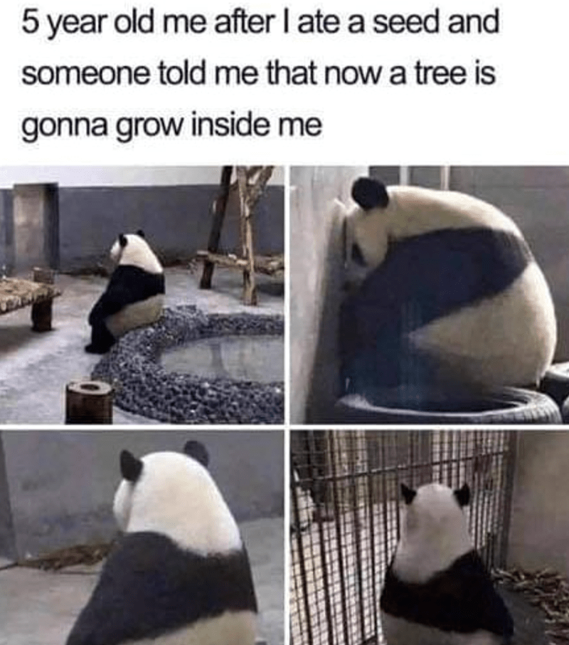 32 Nostalgic Childhood Memes to Heal Your Inner Kiddo