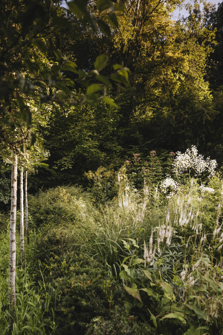 Greatest hits 2025: The fairytale cottage of brothers and garden ...