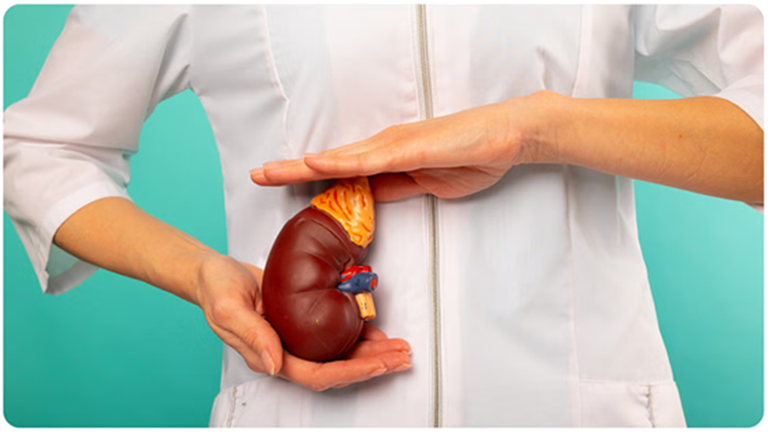 Kidney Care Tips: These 4 healthy habits of every morning detox the ...