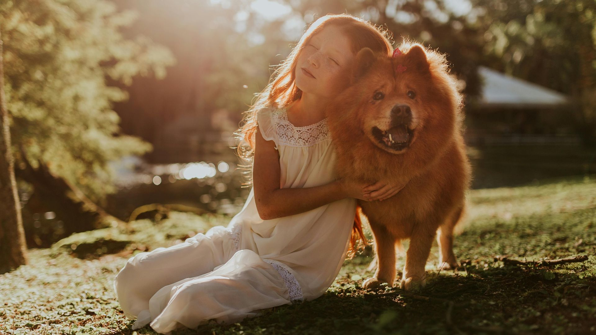 The Toughest Dog Breeds For New Pet Owners