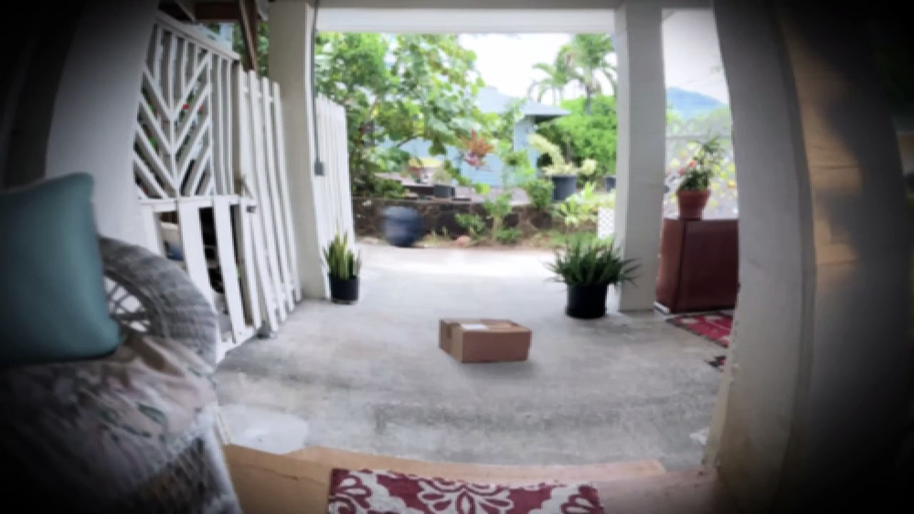 Lilo & Stitch | Tv Spot: Doorbell Camera