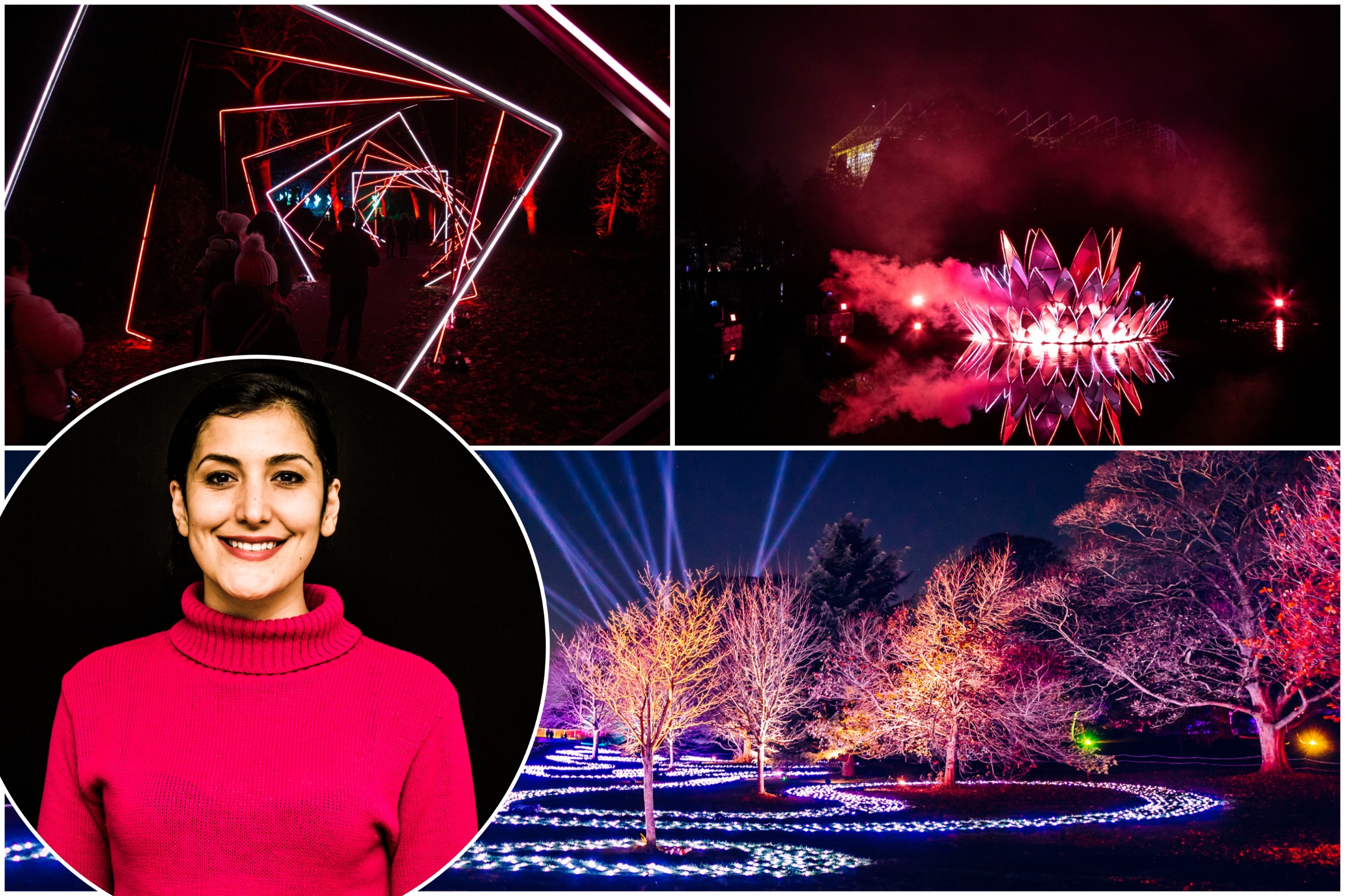Northern Lights returns to Leeds' Temple Newsam this winter - with ...
