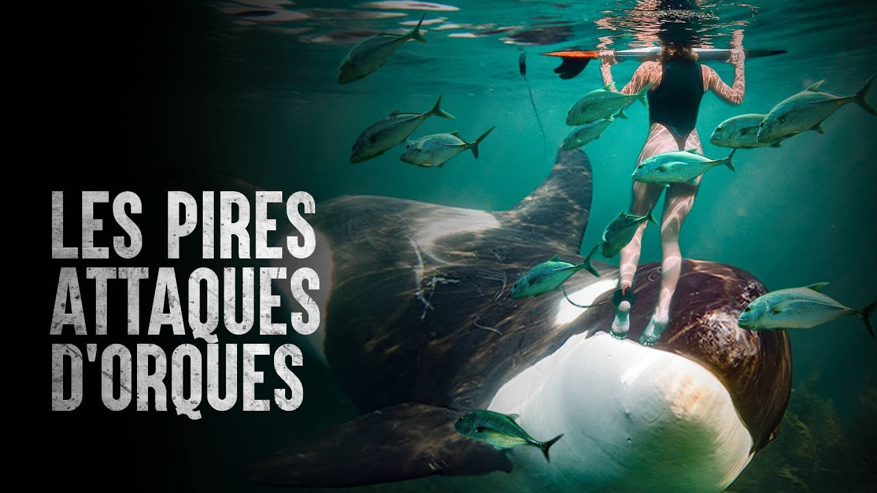 Comment survivre aux pires attaques d'orques