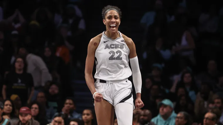 5 best players from South Carolina in the WNBA, from A'ja Wilson to ...