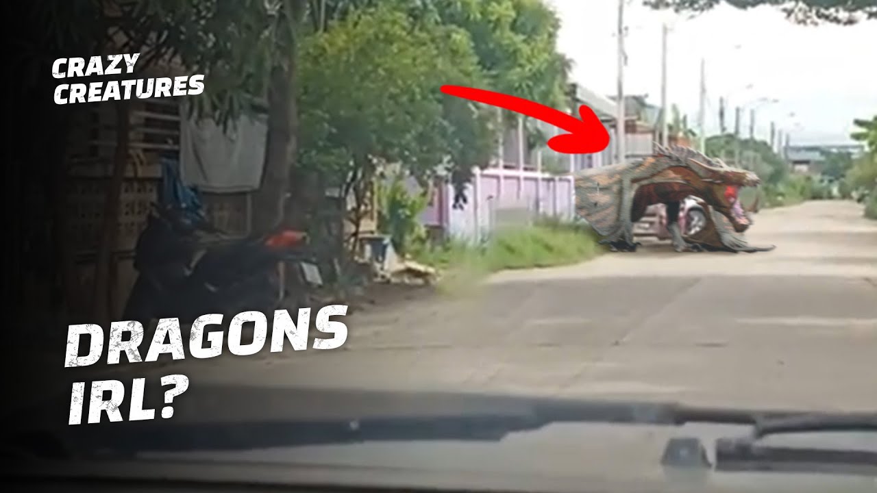 The Real-Life Dragons From House of the Dragon