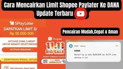 Trik Baru Cairin Paylater ke Saldo DANA Tanpa Bunga? Ini Cara Gestun Aman Gak Ribet!