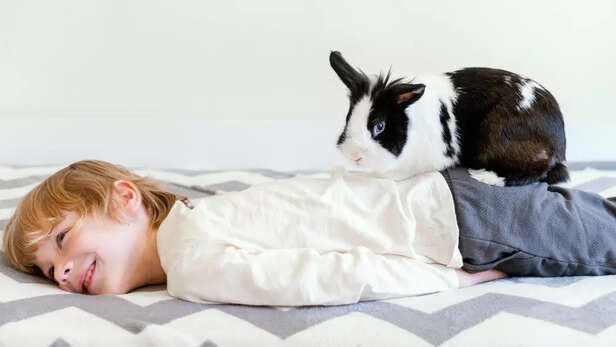 Bunny Acting Weird? It Might Be Bored Out of Its Mind