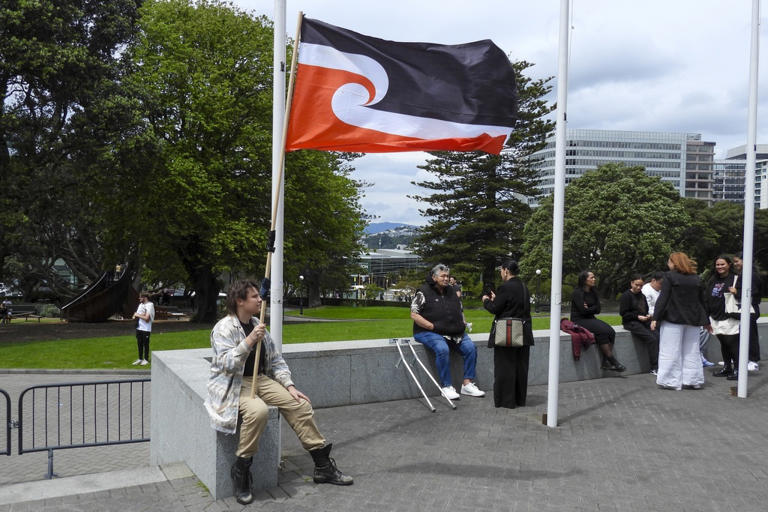 New Zealand's Parliament will debate suspending Māori lawmakers who ...