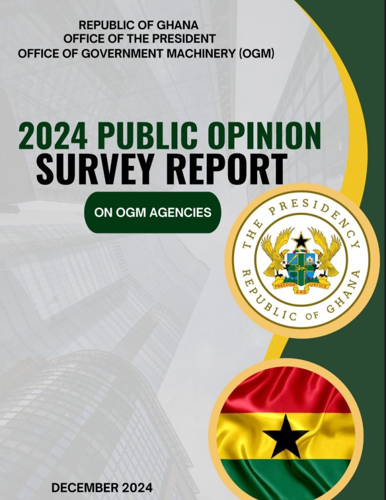 Social media is the most used platform for accessing gov’t services – Report