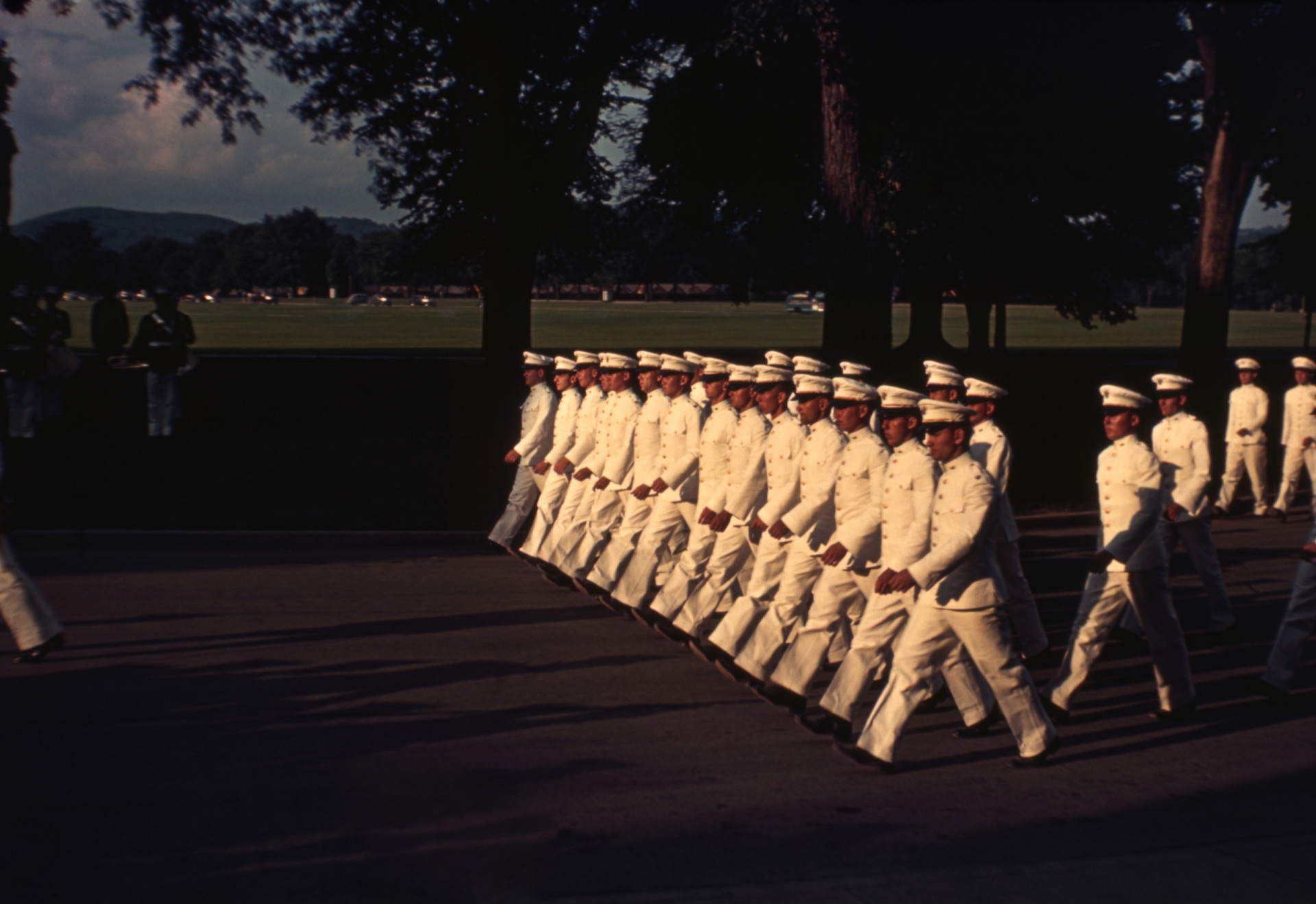 Do historical and generational cycles really exist?