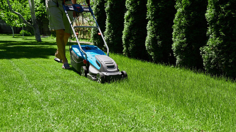 The Best Way To Mow Your Lawn To Prevent The Spread Of Weeds