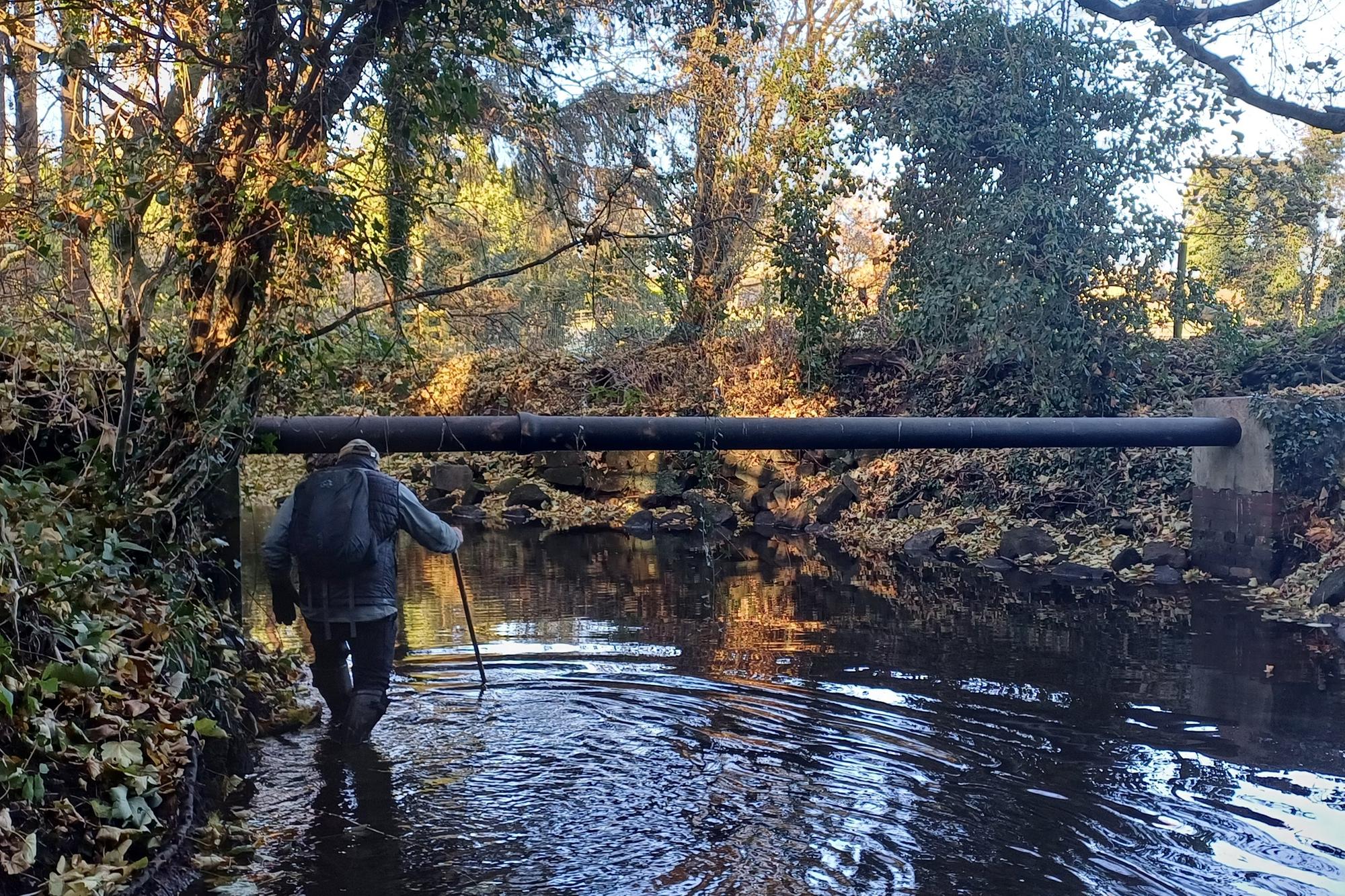 New 'ambitious' programme to bring Harrogate's polluted rivers back to ...