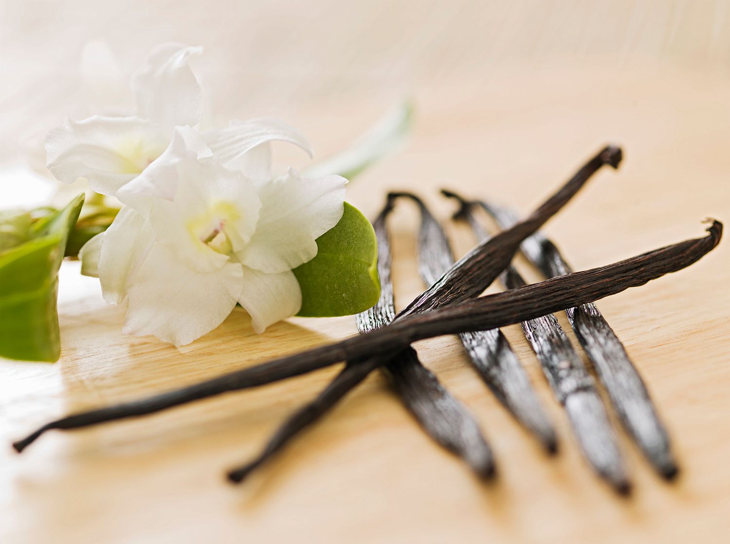 Does Vanilla Extract Repel Mosquitoes? Why Pest Pros Say You're Wasting ...