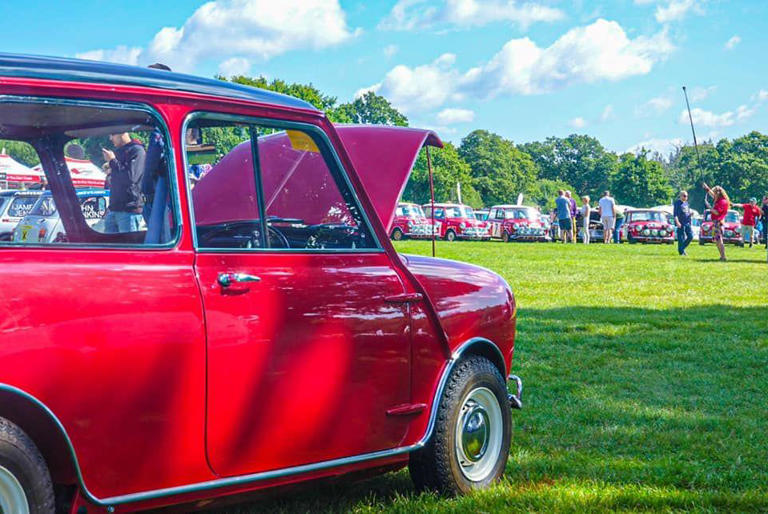 Mini Cooper Register all set for Beaulieu Show