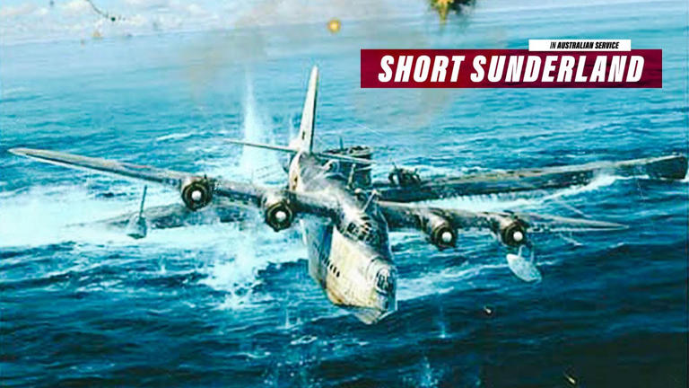 The Warbird That Survived by Luck, Not Design