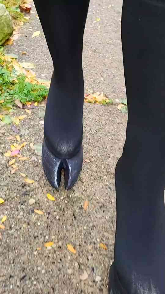 Stomp into Fun with Custom Hoof Shoes