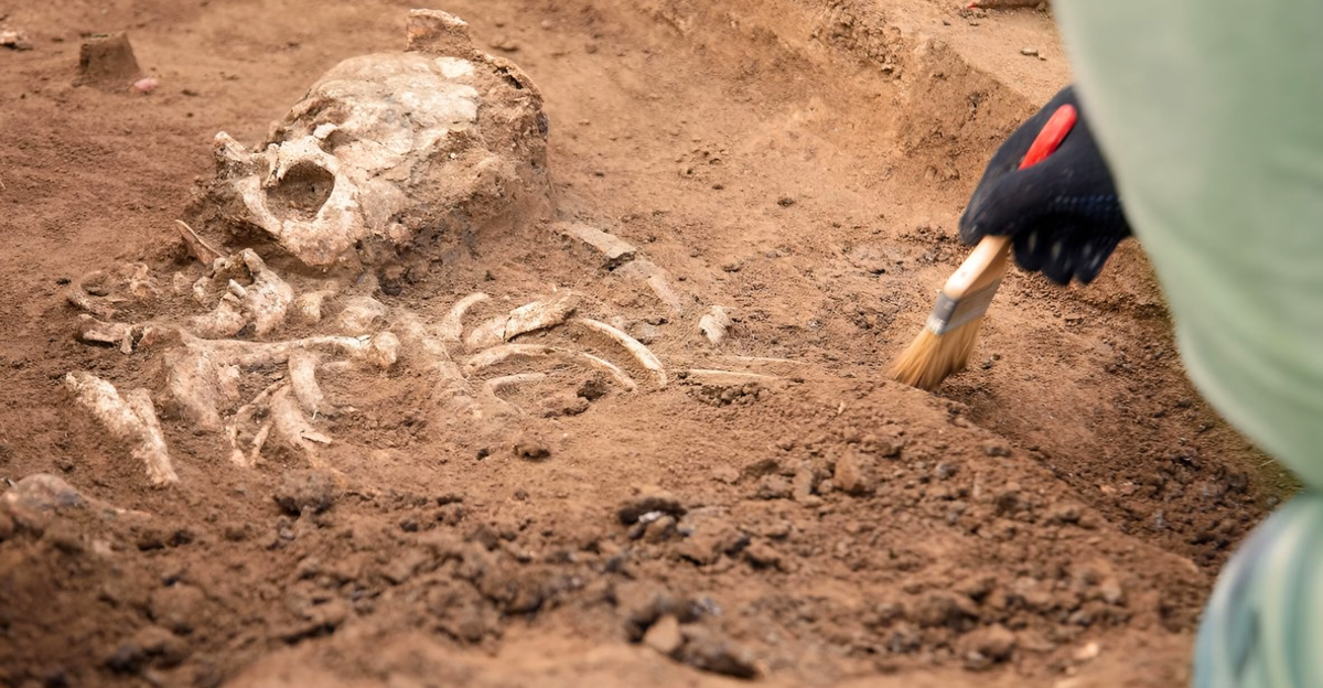 The 11 Oldest Human Fossils Ever Discovered