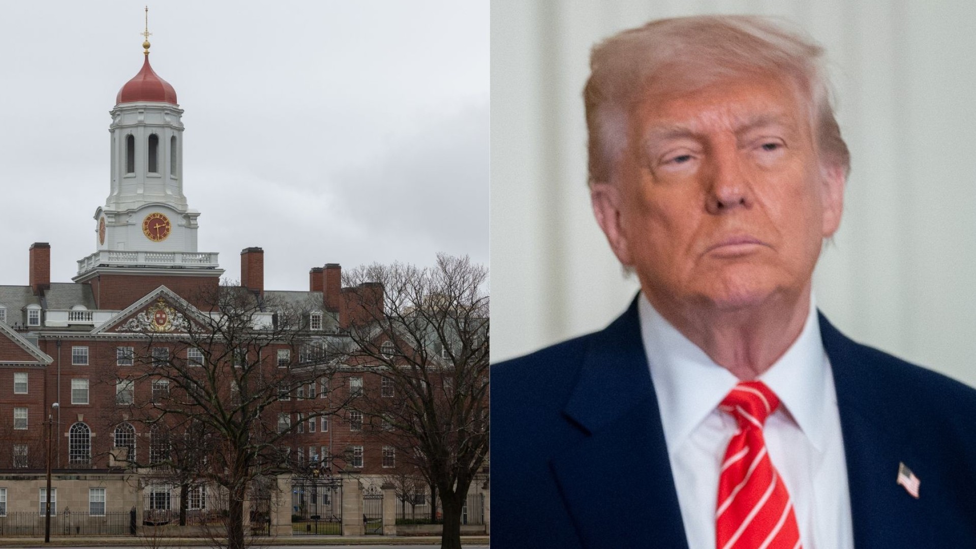 25 percent pay cut: Harvard president to reduce salary amid White House ...