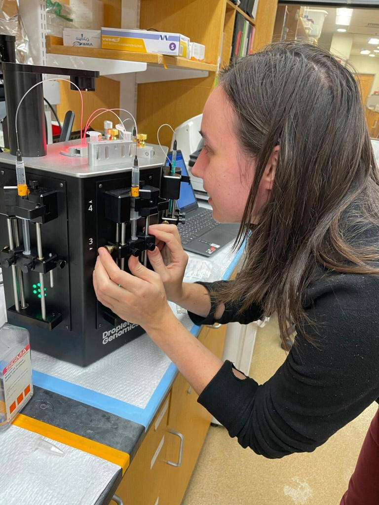 Harvard Russian scientist being held by ICE, charged with smuggling ...