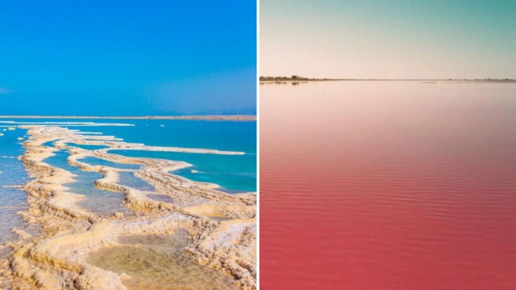 19 Strange Places Where Life Thrives on Earth