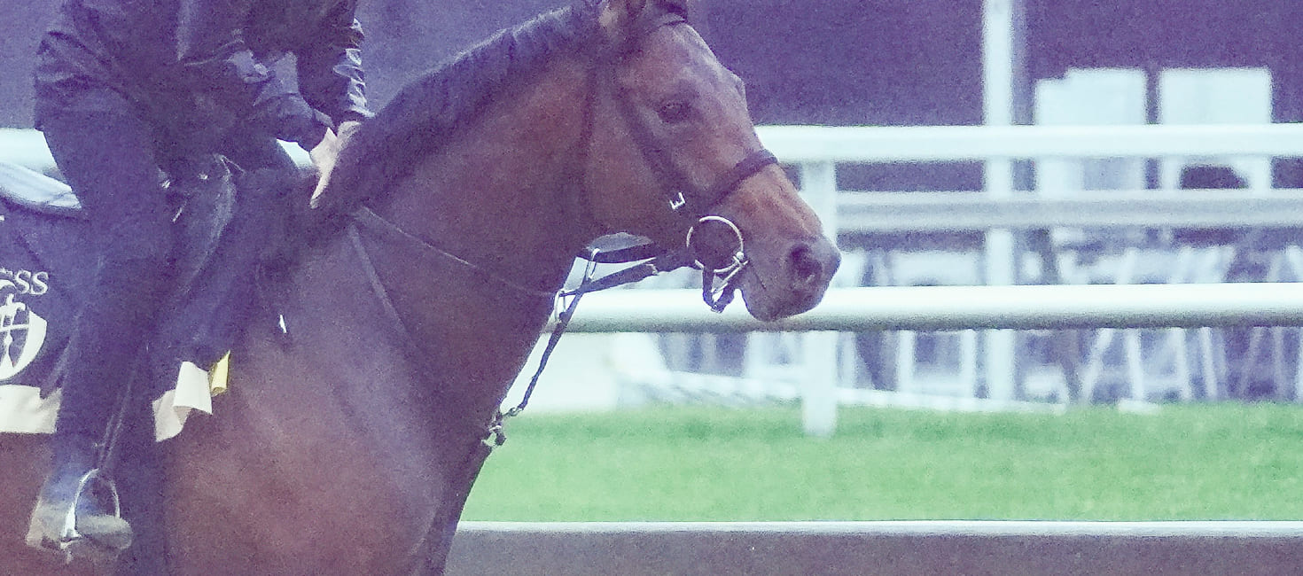 2025 Preakness Stakes: Odds, Trends & Best Bets