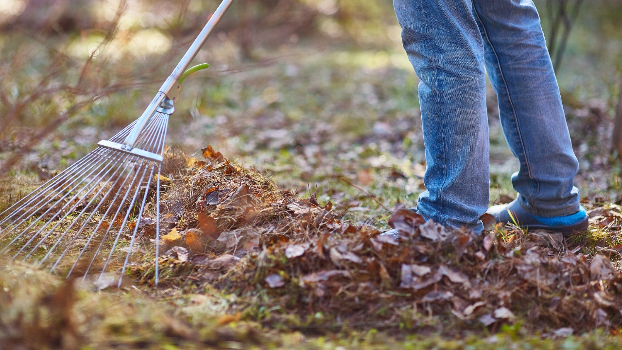 12 things I clear out every spring before the yard wakes up