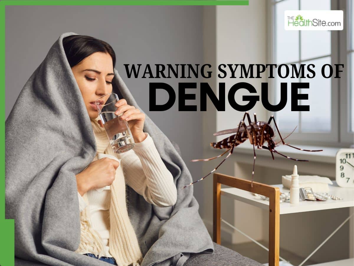 Dengue Symptoms: 7 Warning Signs of Dengue Fever You Should Never ...