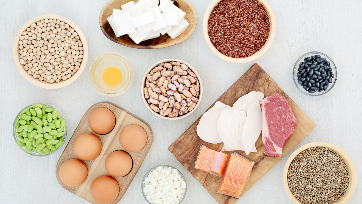 Animal vs. Plant-Based Protein: Which One Is Better for Weight Loss?