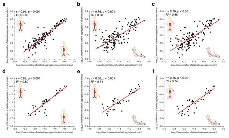 Seeing blood clots before they strike: Imaging technique shows how ...