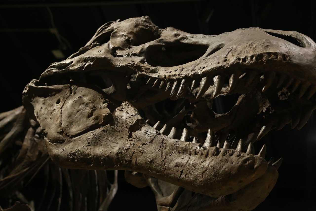 What Dinosaur Fossils Reveal About Earth’s Last Mass Extinction?