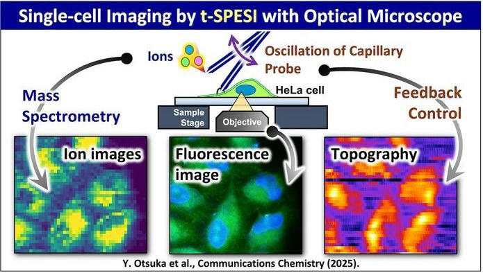 Visualizing Intracellular Molecular Landscapes in Single Cells