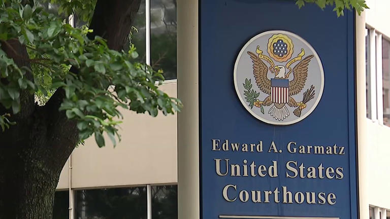 ‘Defend the Constitution': Protesters rally for birthright citizenship ...