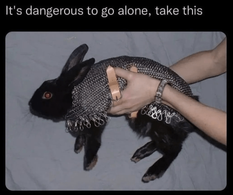 26 Domesticated Animal Memes Bringing Comedy for the Comfort of Your ...