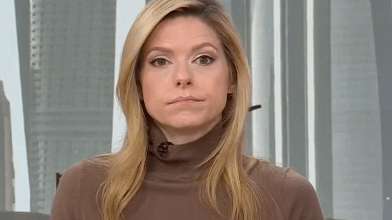 'Wow! Wow!' CNN anchor rendered speechless by example of threats posed by Trump's gift jet