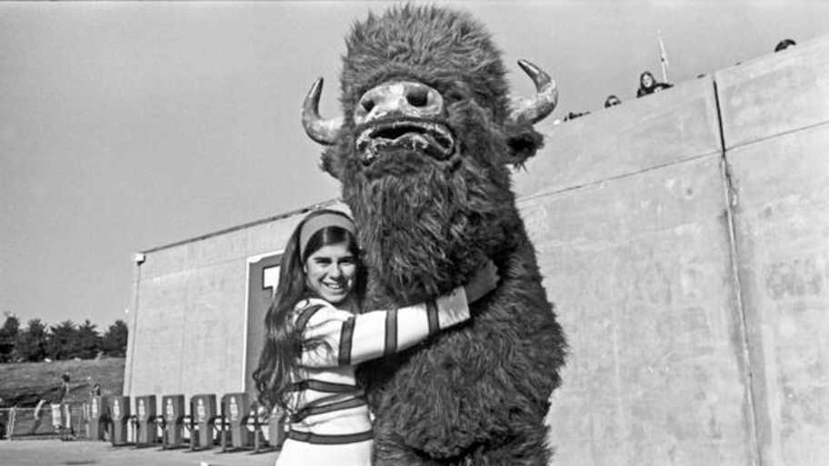 It’s Official: The Bison Is Back As Indiana’s Mascot