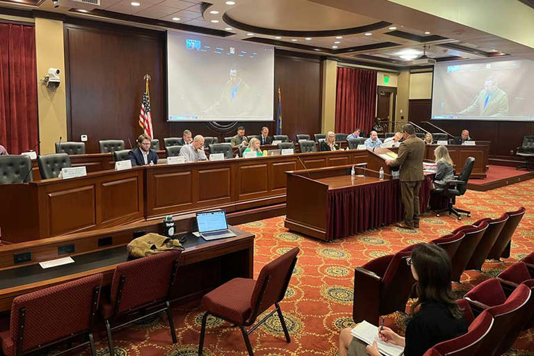 New Idaho legislative committee aims to identify barriers – and ...