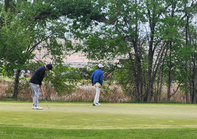 McQueen junior ties for second boys 5A state golf; Coronado wins team title