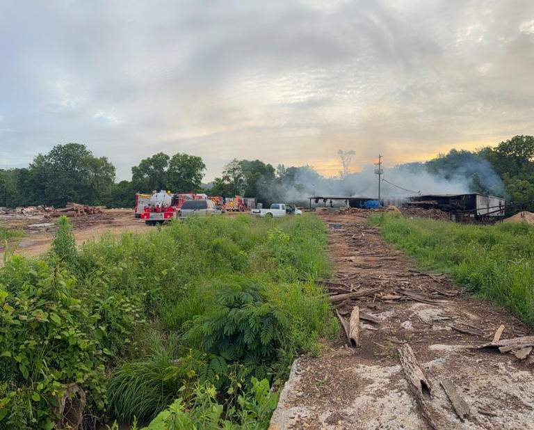 Multiple departments respond to lumber company fire in Rogersville