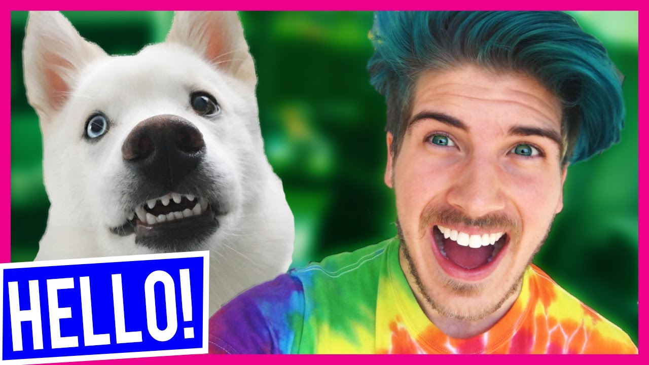 A 'Talking' Dog Steals the Spotlight in a Hilarious Vlog