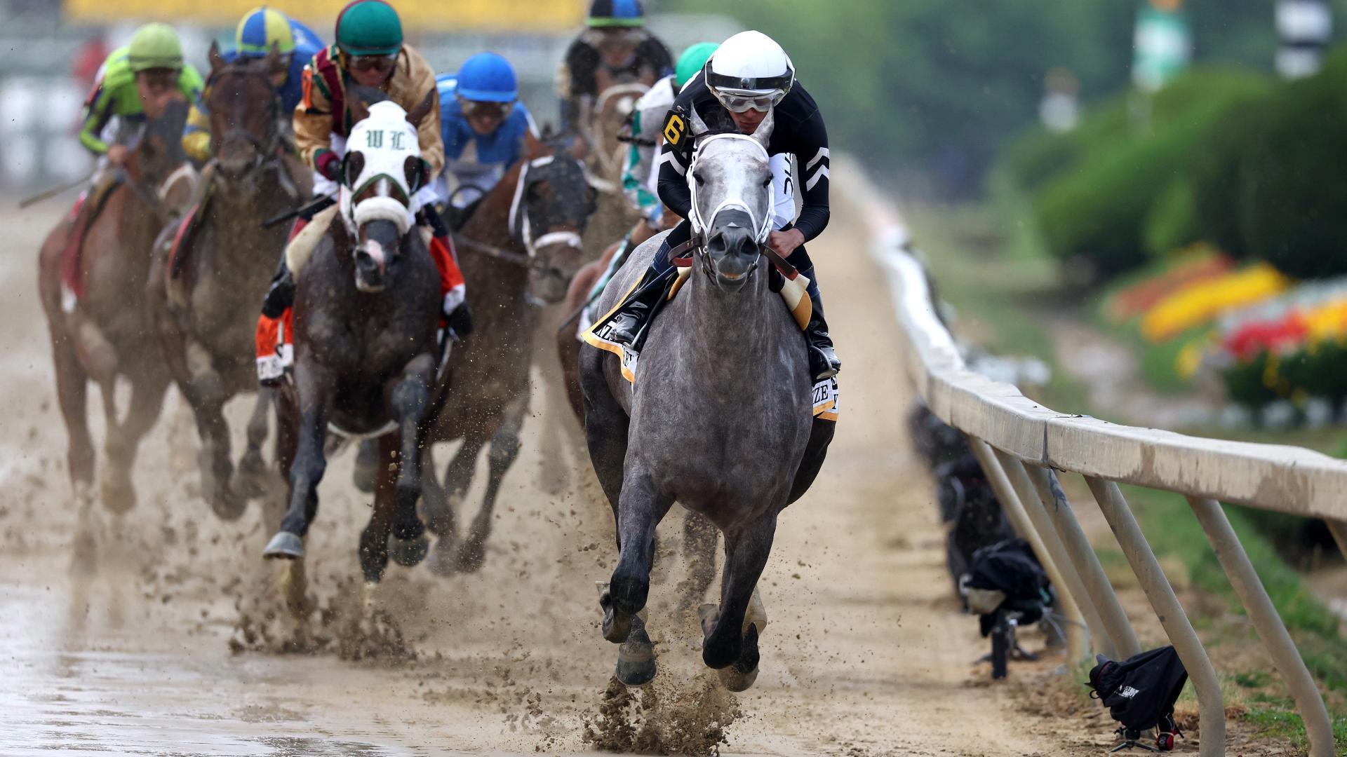 Journalism leads talented field of horses ready to step up at 2025 ...