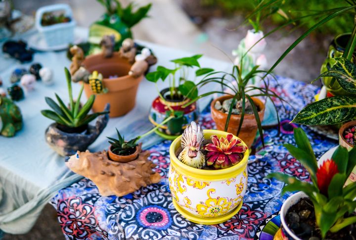 20 DIY tricks to revamp your home with greenery