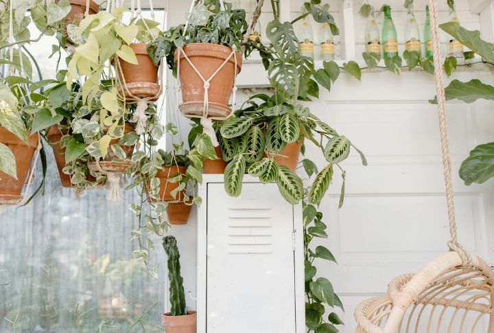 20 DIY tricks to revamp your home with greenery